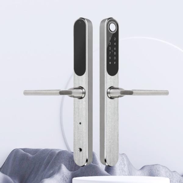 Quality Electronic Fingerprint Sliding Door Lock A9 Keyless Handle for 30-75MM Door for sale