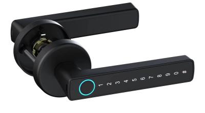 China Electronic Bluetooth Door Handle 60mm - 70mm Fingerprint Door Handle for sale