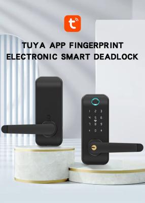 China Smart Handle Door Lock Security Biometric Keyless Door Lock 35mm - 55mm for sale