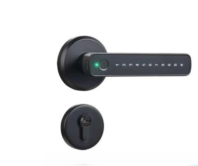 China Fingerprint Biometric Smart Handle Door Lock USB Charging for Bedroom for sale