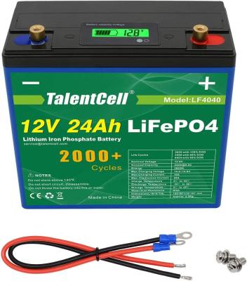 Cina Pacchetto ricaricabile della batteria al litio di grande capacità 12v 24ah Lifepo4 di personalizzazione con esposizione LCD in vendita