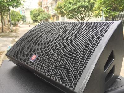 China T-12M Single 12 inch woofer 1*12