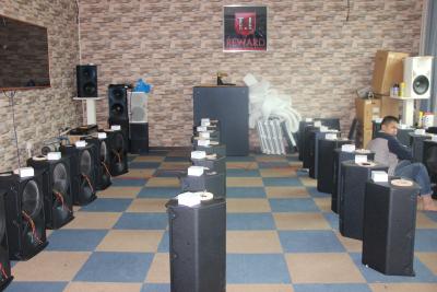 China G-308 Single 8'' pa speaker 1*8