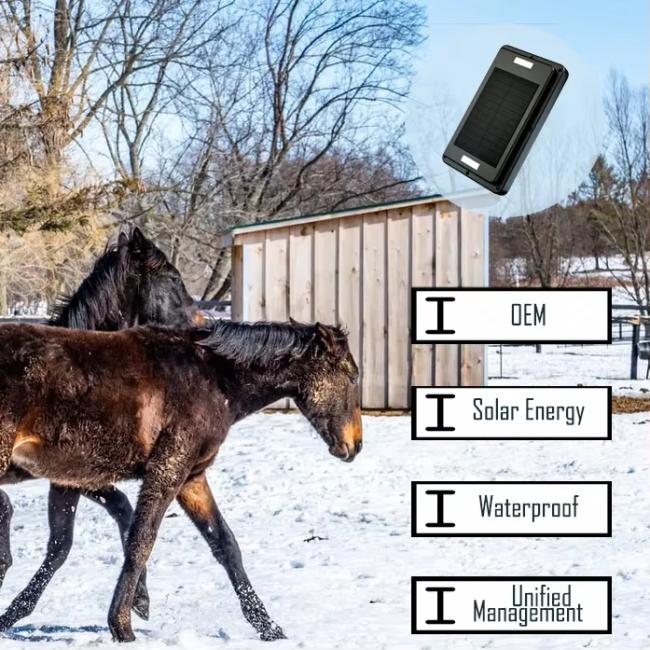 Long Battery Life 20000mAh Solar Power Collar GPS Tracking for Livestock Cows Waterproof IP67 GPS Tracker 4G Tracker for Cattle