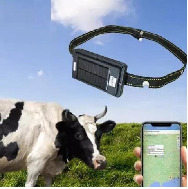 Long Battery Life 20000mAh Solar Power Collar GPS Tracking for Livestock Cows Waterproof IP67 GPS Tracker 4G Tracker for Cattle