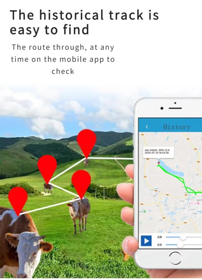 Long Battery Life 20000mAh Solar Power Collar GPS Tracking for Livestock Cows Waterproof IP67 GPS Tracker 4G Tracker for Cattle