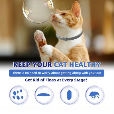 China Solid Pattern Anti-Flea Tick Mosquito Durable Adjustable Silicone Pet Collar for Dogs Cats Stocked and Natural Formula for sale