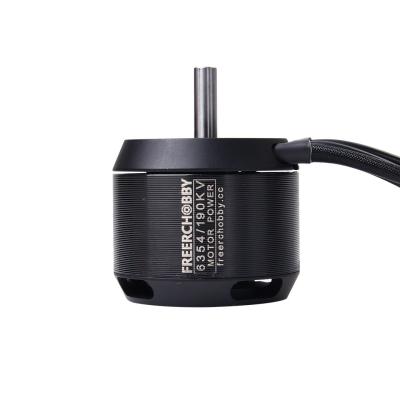 China 6355 6374 6384 63100 Motorized Belt Drive Esk8 2450w 24v 48v Electric Skateboard Brushless Dc Motor for sale