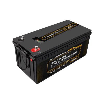 Cina Batteria ricaricabile LiFePO4 di alta sicurezza 24V 100Ah per il carrello elevatore elettrico EV in vendita