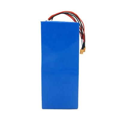 Cina Veicoli elettrici potenti di 48v 20ah Li Ion Battery Pack Customizable For in vendita