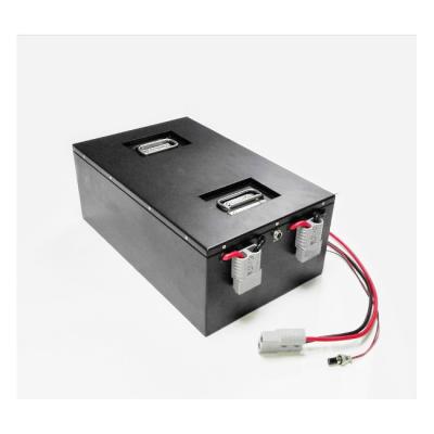 Li Ion Electric Tricycle Battery 48 voltios de LiFePO4 adaptable