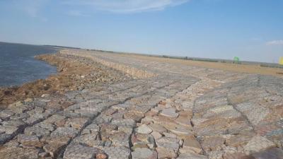 China 60 * 80 mm flexibele anti-erosie Gabion muur gaas bekleding Te koop