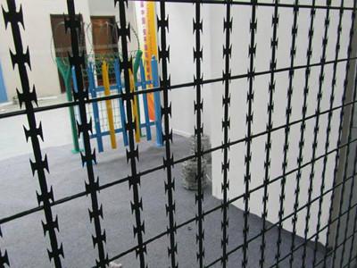 Cina Anti recinto d'acciaio ad alto tenore di carbonio For Protection Rustproof del filo spinato del rasoio di furto BTO-18 in vendita
