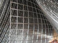 China Welded Steel Wire Mesh 3mm Galvanised Mesh Roll for sale