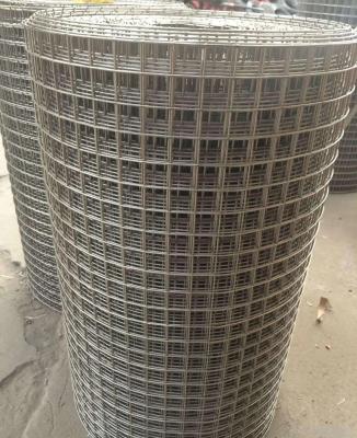 Cina Il calibro 14 ha saldato il rotolo e lo strato di Mesh Galvanized Square Netting In del filo di acciaio in vendita