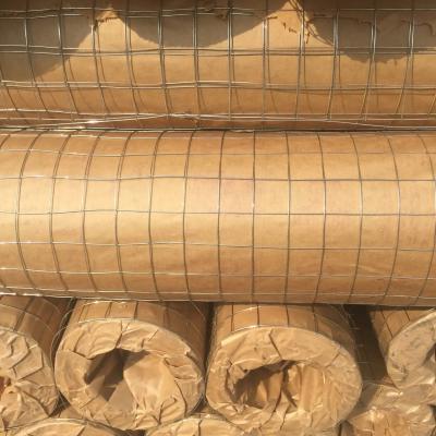 Cina Il calibro 14 ha saldato il rotolo e lo strato di Mesh Galvanized Square Netting In del filo di acciaio in vendita