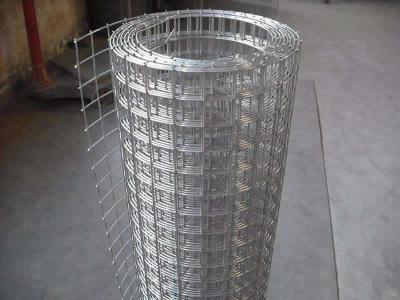 Cina 1/4 di 1/2 3/4 1 di cavo saldato a 2 pollici Mesh Galvanized For Fence in vendita