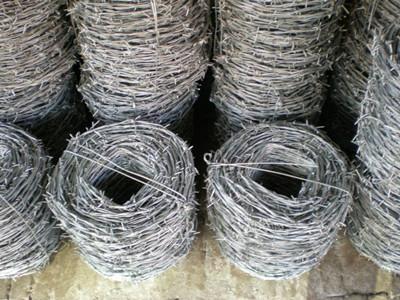 Cina Calibro facile da pulire 12 dell'anti di furto filo spinato antiruggine di acciaio inossidabile in vendita