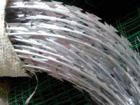 China Antirust Blade Barbed Wire Anti Oxidation Electro Galvanized for sale
