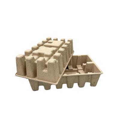 Cina Vassoio riciclato urgente asciutto, polpa modellata canna da zucchero Tray Packaging in vendita