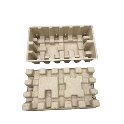 Cina Vassoio riciclato urgente asciutto, polpa modellata canna da zucchero Tray Packaging in vendita