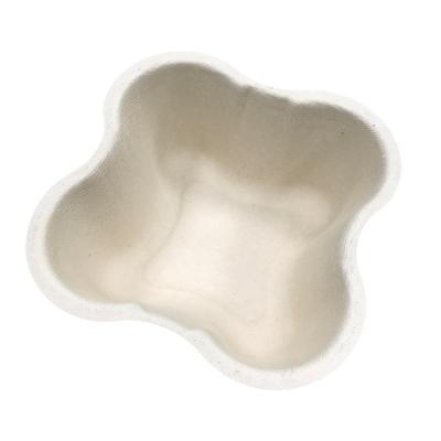 Cina Spessore di bambù del vassoio 1mm della stampa bagnata biodegradabile per Cat Products in vendita