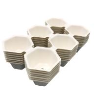 China White Bagasse Sugarcane Packaging , Compostable Moulded Pulp Tray for sale