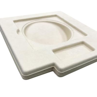 Cina Giocattolo di carta di bambù concimabile di Tray Shockproof Staticproof For Cat in vendita