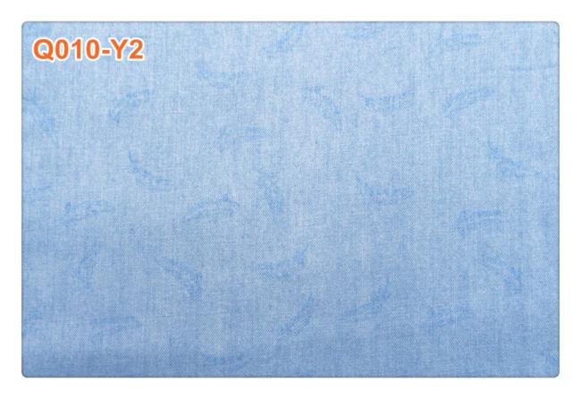 Q010-Y2 1.jpg