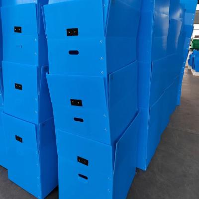 Cina Scatole di plastica a prova d'acqua riutilizzabili in vendita