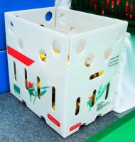 China Reusable Vegetable Packaging Boxes with 2mm-20mm PP Corrugated Sheets - Foldable & Customizable for sale
