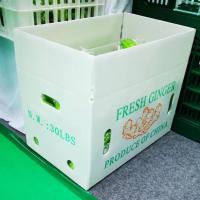 China Reusable Vegetable Packaging Boxes with 2mm-20mm PP Corrugated Sheets - Foldable & Customizable for sale