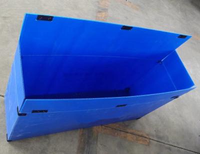 China Folding Plastic Carton Box 600*400*350mm PP Hollow Sheet Box With Velcro and totes for sale