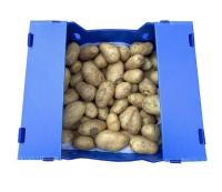 China Rectangular PP Corrugated Sheet Box Recyclable Foldable Plastic Box Blue for sale
