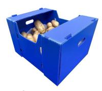 China Rectangular PP Corrugated Sheet Box Recyclable Foldable Plastic Box Blue for sale