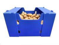 China Rectangular PP Corrugated Sheet Box Recyclable Foldable Plastic Box Blue for sale