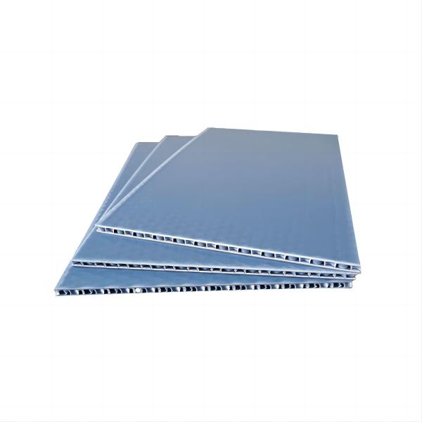 Quality Customized Honeycomb PP Sheet 2mm - 20mm Polypropylene Plastic Sheet For Moving for sale