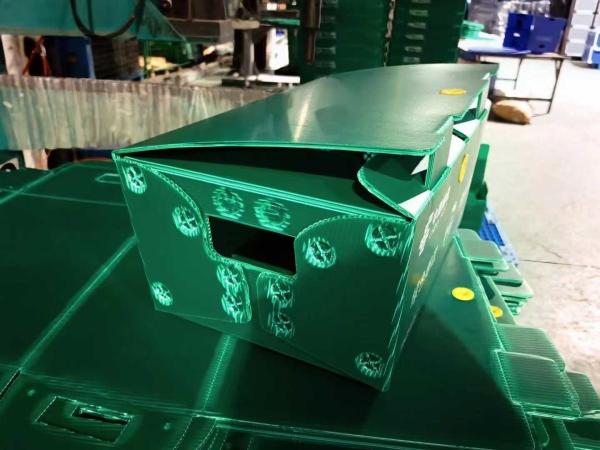 Quality 3mm Plastic Honeycomb Sheets Recyclable Polypropylene Plastic Board Lightweight for sale