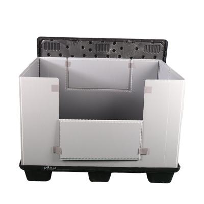 China 800 X 600mm Plastic Pallet Box Foldable Sleeve Plastic Pallet Container Plastic Coaming Box for sale