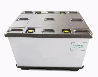 China Coaming Collapsible Pallet Container Recyclable Plastic Moving Container Customized for sale