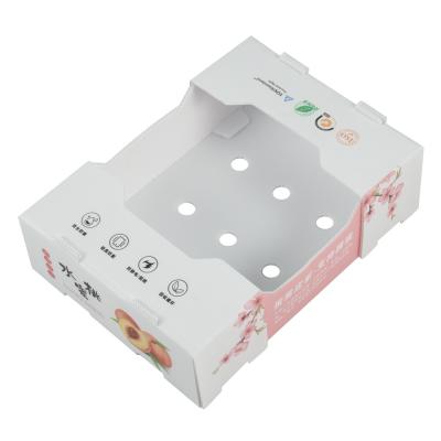 China White Plastic Corrugated Containers Shockproof Corrugated Storage Containers For Fruit Vegetable for sale