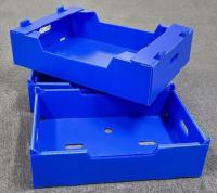 China Impact Resistant Plastic Shipping Box 50kg Capacity Reusable Vegetable Boxes Lightweight Corrugated PP for sale
