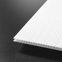 China Waterproof Polypropylene Hollow Sheet 2-10mm Durable Lightweight Packaging for sale