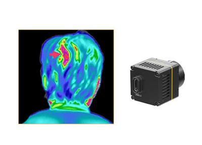 China Non Invasive Infrared Camera Core for Thermal Imaging System Medical Diagnosis for sale