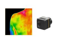 Cina il centro infrarosso della macchina fotografica di 384x288 17um per termografia medica in vendita