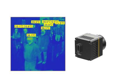 Cina modulo infrarosso non raffreddato NETD tipico 50mk della macchina fotografica 384x288 per la diagnosi medica in vendita