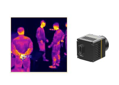 Cina 384x288 non raffreddato 17μM Thermal Imaging Camera per le applicazioni mediche in vendita
