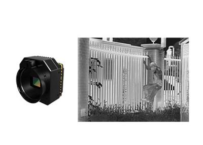 China Uncooled Infrared Thermal Security Monitoring Camera Module With Optional Lens for sale