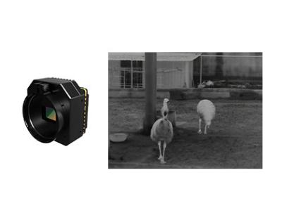 China Uncooled Infrared Thermal Security Monitoring Camera Module With Optional Lens for sale