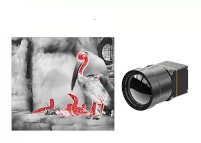 China 640x512 12μM Uncooled Thermal Imaging Module For Wildlife Observation for sale